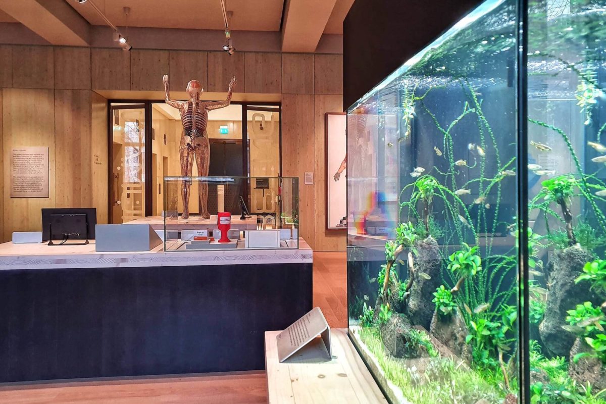 Being Human in der Londoner Wellcome Collection | musermeku