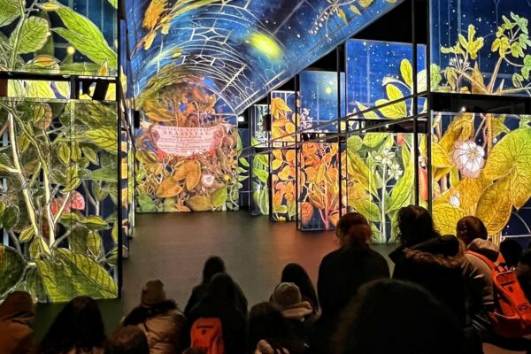 Das immersive Museum | musermeku